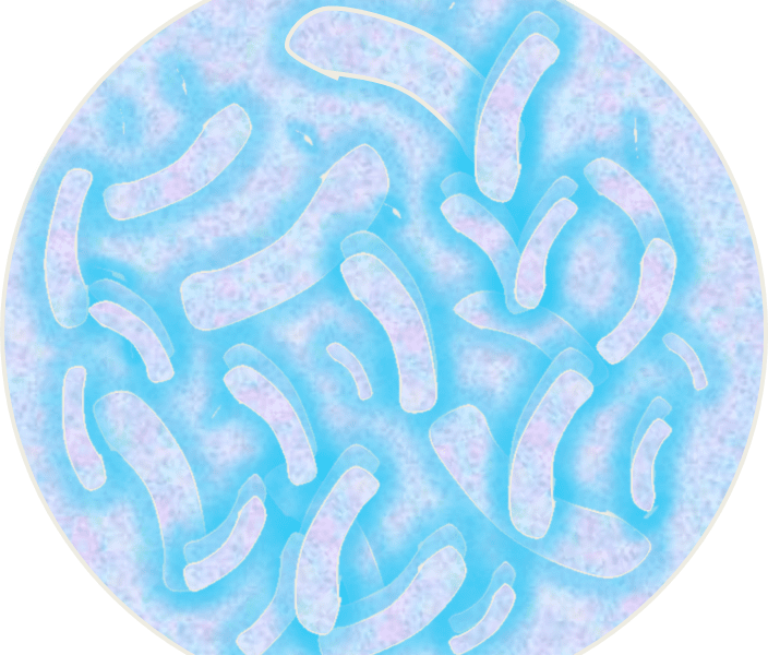 Rapid, Low Cost Detection of E.coli and Shigella - Advanced Science News Rapid, Low Cost Detection of E.coli and Shigella - Advanced Science News