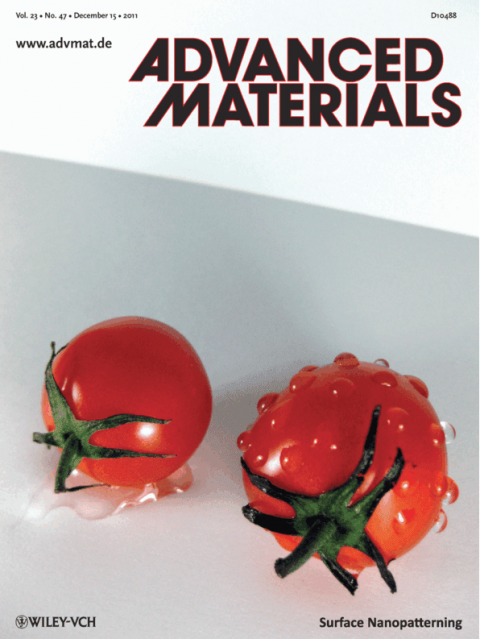 Top Advanced Materials papers for December 2011 - Advanced Science News