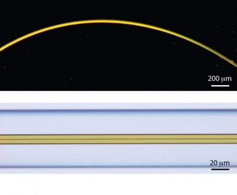 Optical Fiber Waveguides - Advanced Science News