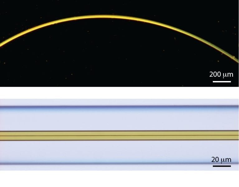 Optical Fiber Waveguides - Advanced Science News