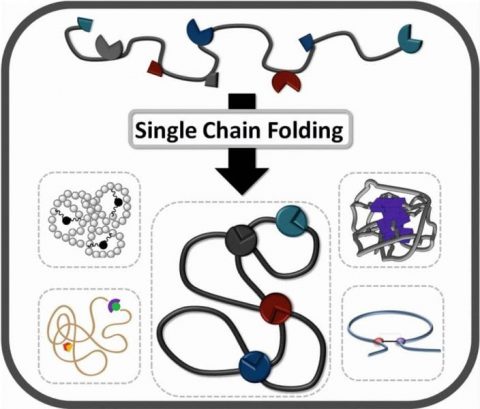 Single Polymer Chain Folding – A Review - Advanced Science News
