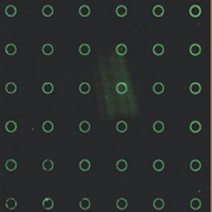 Forces Combine to Make DNA Arrays - Advanced Science News