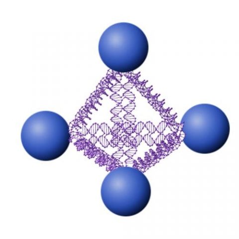 Flexible Approach to Nano Building Blocks - Advanced Science News