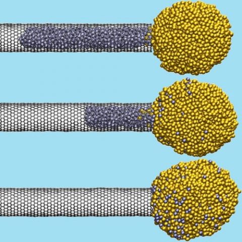The World´s Smallest Pipettes: Capillary Action in Carbon Nanotubes ...