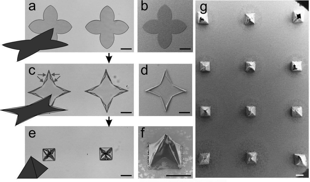 Self-Folding Polymers