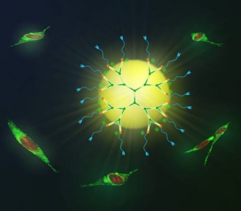 Fluorescent Sensors – Free Access to Recent Highlights - Advanced ...