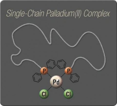 Metal-ligand complexation induces self-folding of synthetic polymers