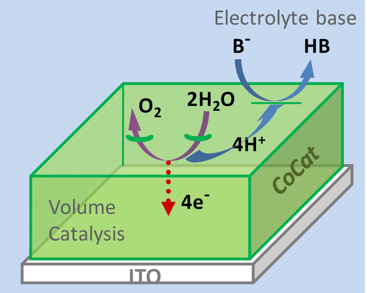 Not just skin-deep: Water oxidation by amorphous cobalt-based oxides ...