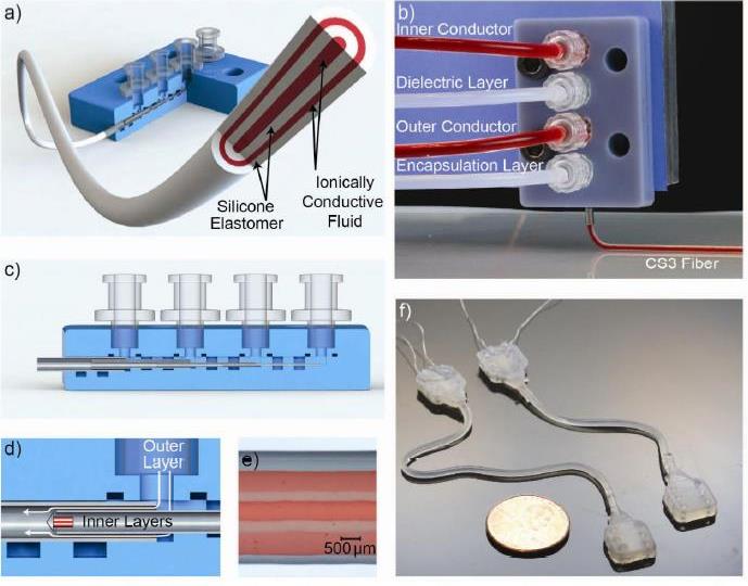Wearable Strain Sensors via 3D Printing - Advanced Science News