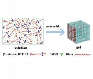 A Fluorescent Rotaxane: Molecular Shuttle and Sensor Gel - Advanced ...
