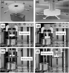 Gecko inspires pick-and-place gripper - Advanced Science News