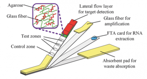 One Step Further towards Diagnosing Dengue at the Point-Of-Care ...