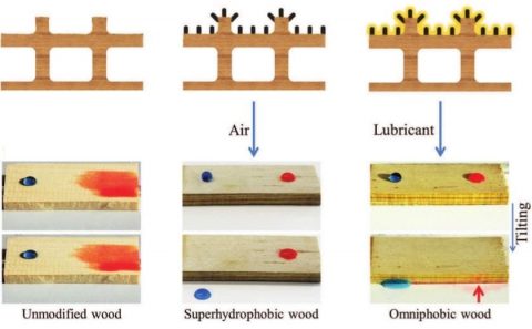 Slippery Wood - Advanced Science News