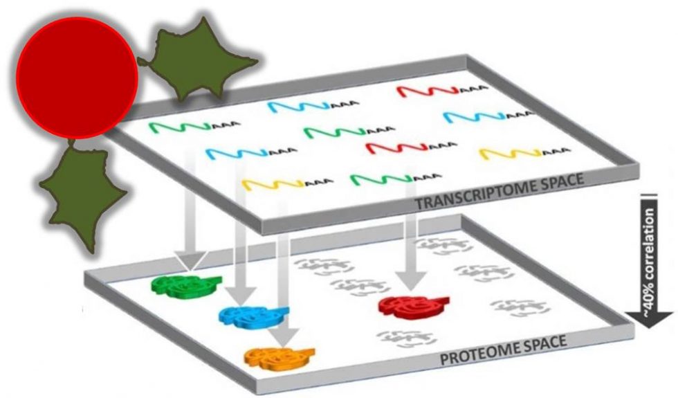 Toward The Integration Of Transcriptome And Proteome Profiling
