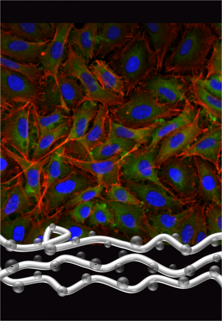 Special Issue Advanced Materials Interfaces: Max-Planck Institute of Colloids and Interfaces ...
