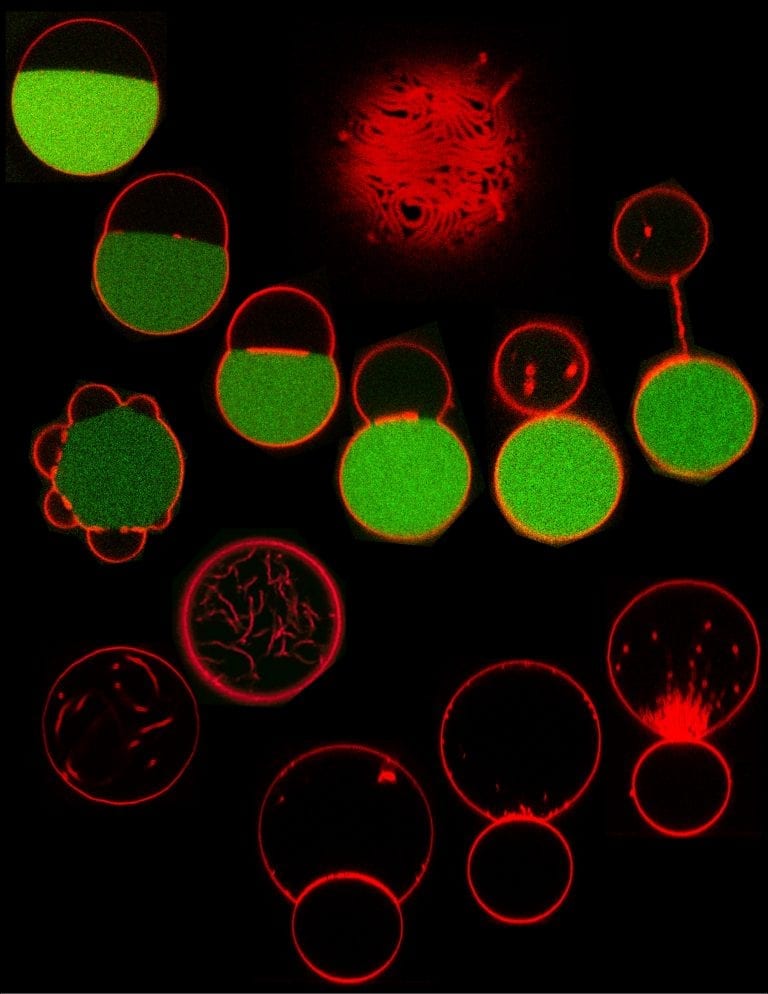 Special Issue Advanced Materials Interfaces: Max-Planck Institute of Colloids and Interfaces ...