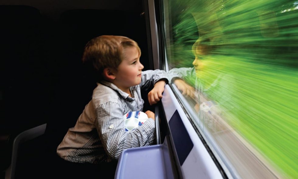 How We Develop: Developmental Systems and the Emergence of Complex ...