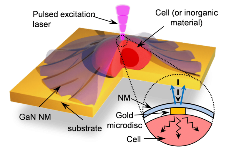 Thermal-Transport Biosensor Distinguishes Different Types of Cancer ...