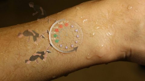 Sweat Collection on Skin - Advanced Science News