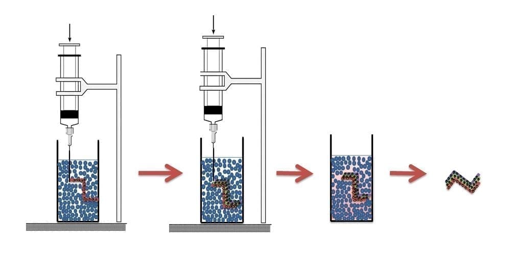 Supportive Soft Tissue Manufacture - Advanced Science News