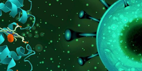 Organic–Inorganic Interface Simulation for New Material Discoveries ...