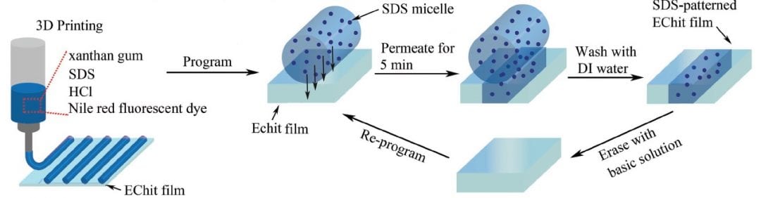 Programmable Soft Mechanics: Reversibly Switching the Mechanical ...
