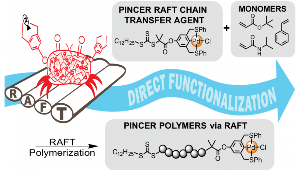 Metal-Coordination Polymers from Controlled Radical Polymerization ...