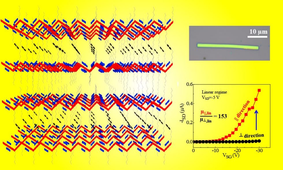 Charge Transport in Conjugated Polymers - Insights from Single Crystals ...