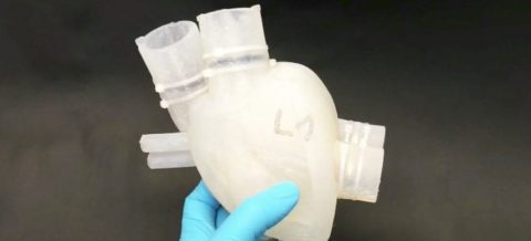 Researchers With a Soft Heart - Advanced Science News