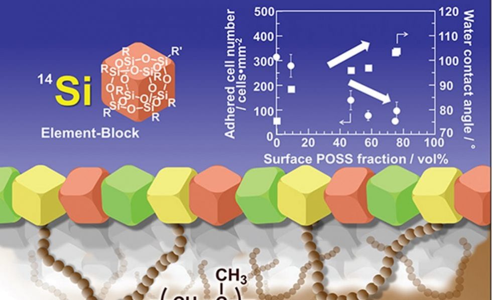 60 Years Of Living Anionic Polymerization Advanced Science News