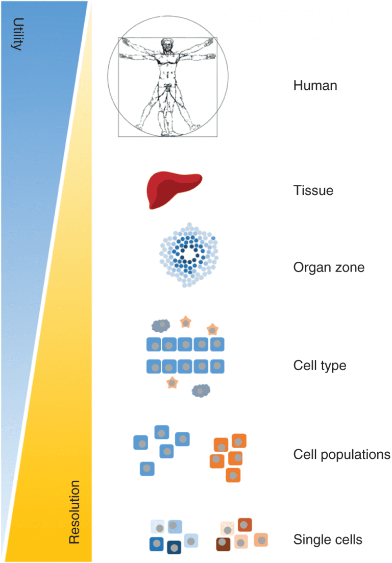 Using Genome-Scale Metabolic Models for Human Diseases - Advanced ...