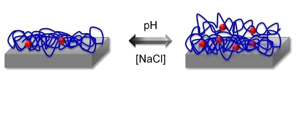 A Deeper Dive Into Plasma Polymer Films In Hydrated Conditions ...