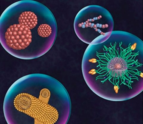 Anne Pfisterer, Author at Advanced Science News