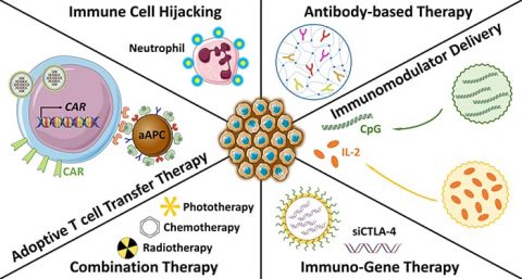 Immunoengineering with Biomaterials for Enhanced Cancer Immunotherapy ...
