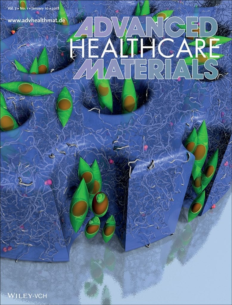Cover Art – Biomaterials, Cancer Nanomedicine and Macroporous Hydrogels ...