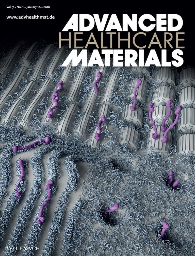 Cover Art – Biomaterials, Cancer Nanomedicine and Macroporous Hydrogels ...