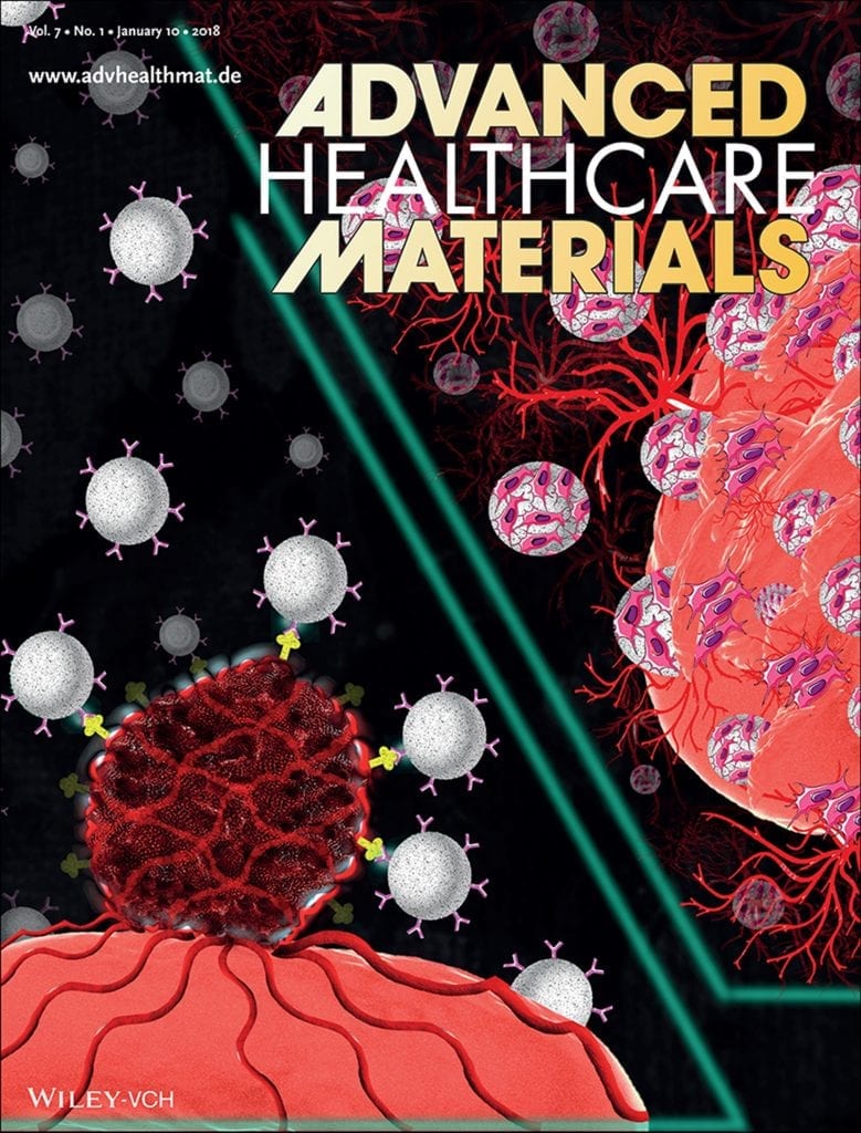 Cover Art – Biomaterials, Cancer Nanomedicine and Macroporous Hydrogels ...