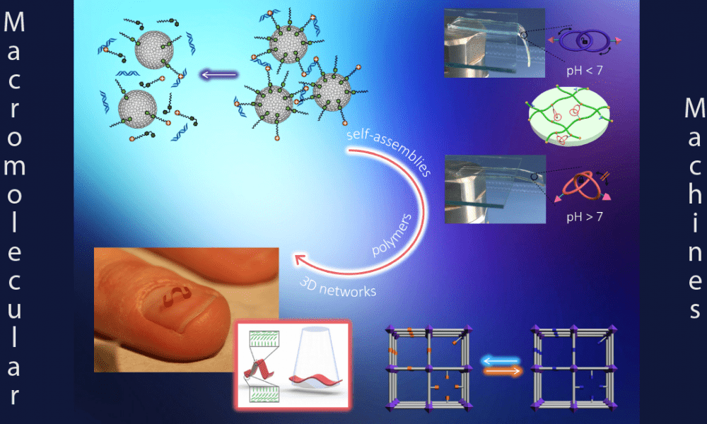 Synthetic Macromolecular Machines - Advanced Science News