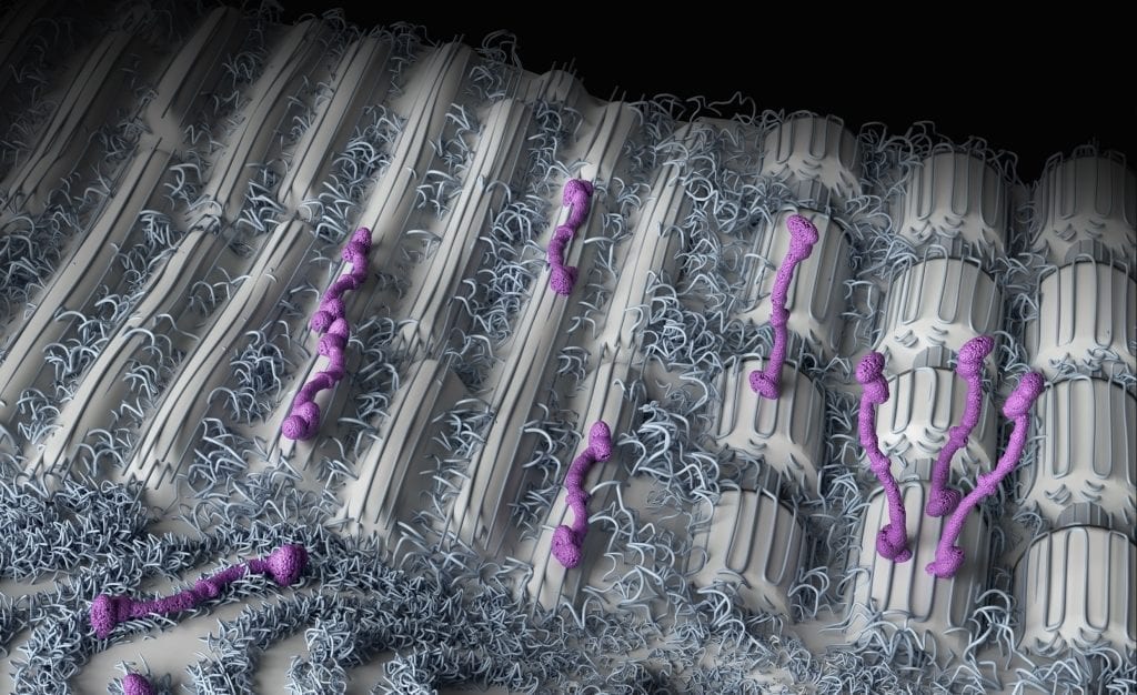 Cover Art – Biomaterials, Cancer Nanomedicine and Macroporous Hydrogels ...