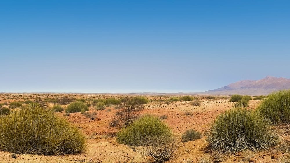 Enabling Private Sector Adaptation to Climate Change in Sub-Saharan ...