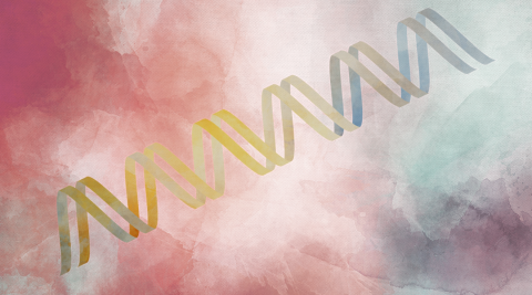 DNA Replication Revisited: Single-Molecule Analyses Reveal Its Highly ...