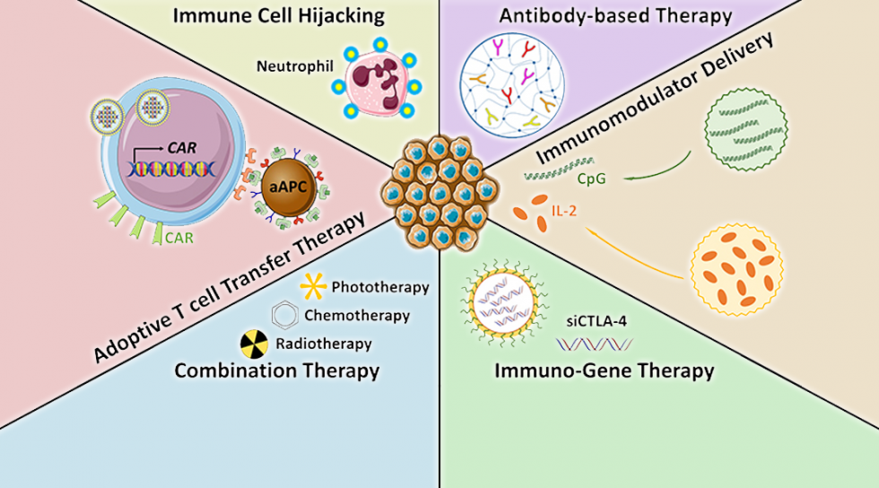 Immunoengineering with Biomaterials for Enhanced Cancer Immunotherapy ...
