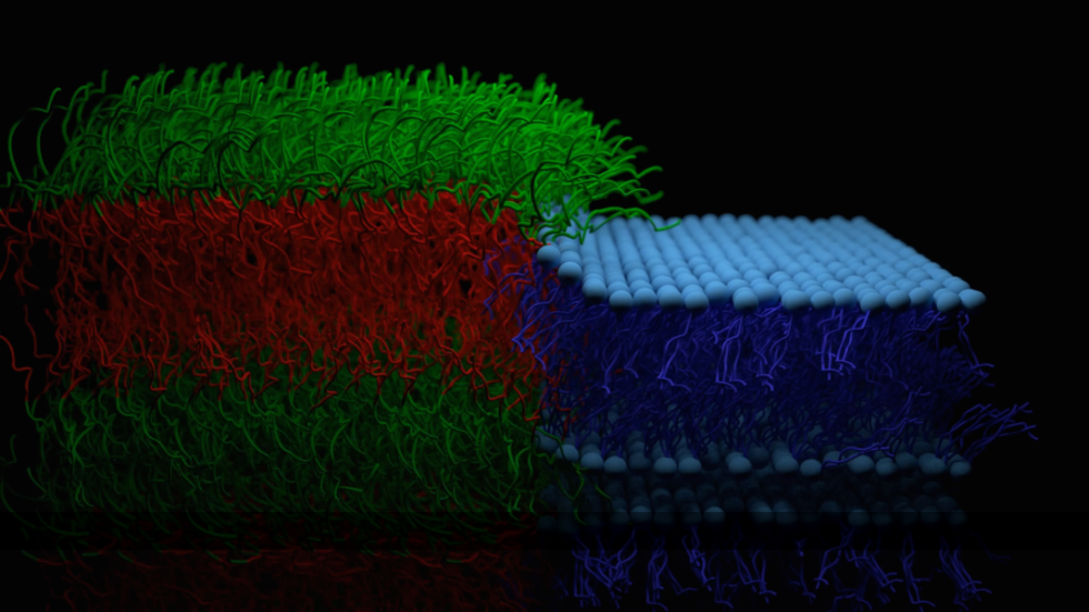 Lipid-based Films for Biomedical Applications [Video] - Advanced ...
