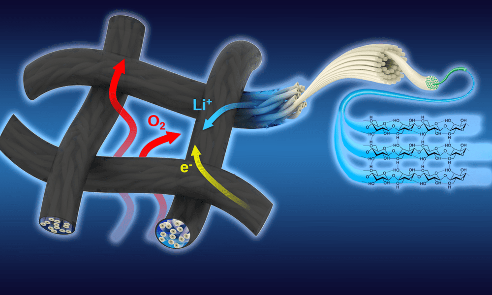 Textile Inspired Cathodes for Energy Storage - Advanced Science News