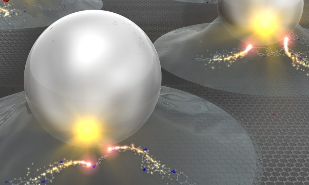 Single-Atom Catalysts Reviewed: Emerging Multifunctional Materials