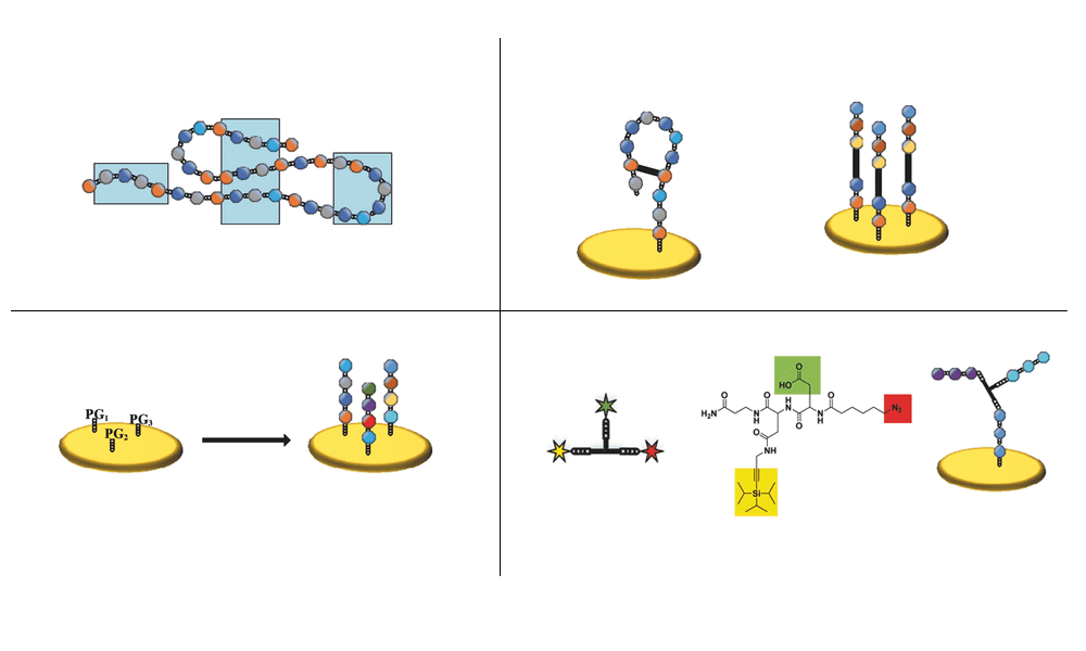 Let's Play Proteins! Microarrays of 3D Assembled Peptide Structures ...