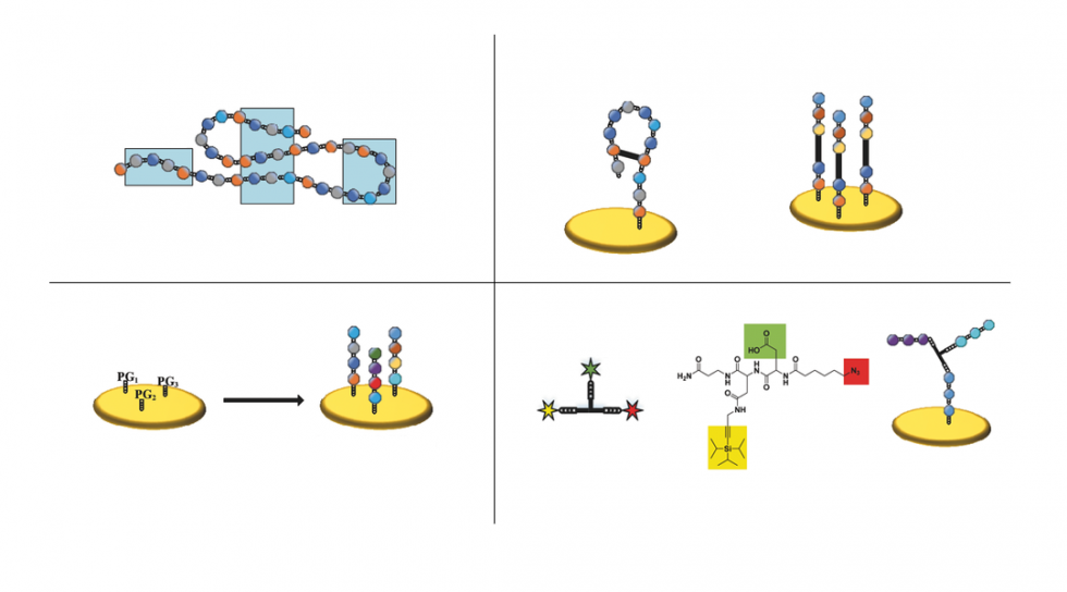 Let's Play Proteins! Microarrays of 3D Assembled Peptide Structures ...