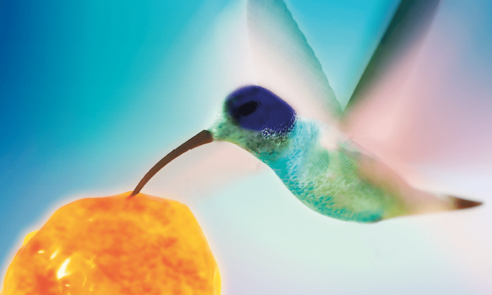 Sampling from Single Living Cells - Advanced Science News