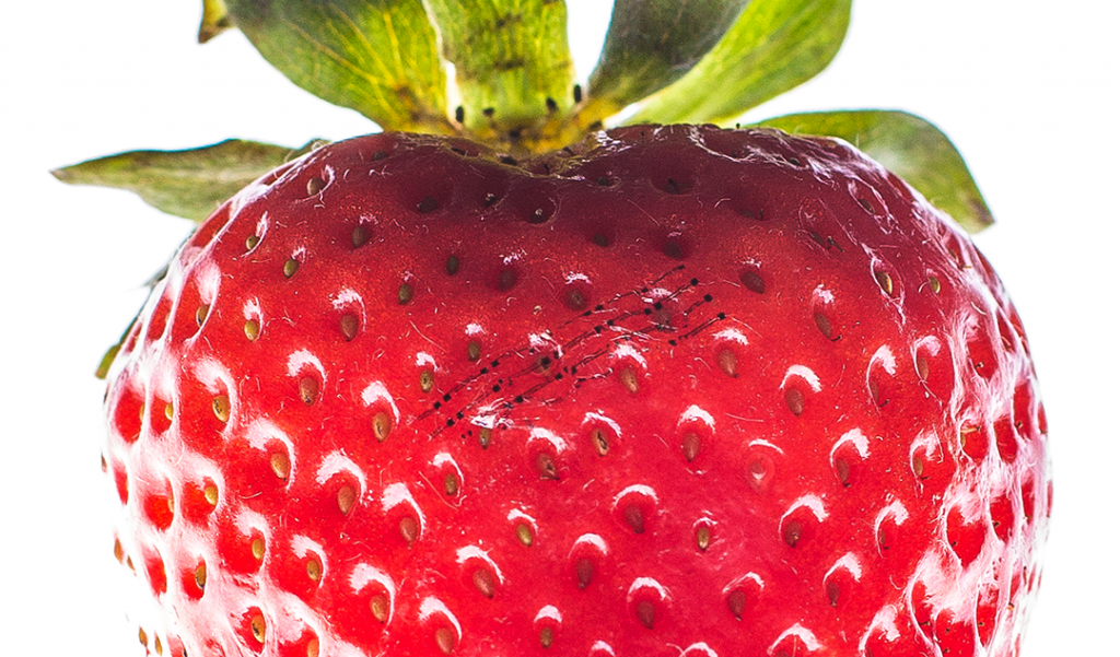 Sowing the First Seeds for Edible Electronics - Advanced Science News
