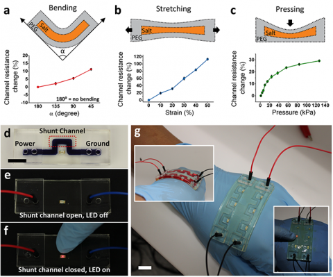 Bioelectronic Hydrogels - Advanced Science News
